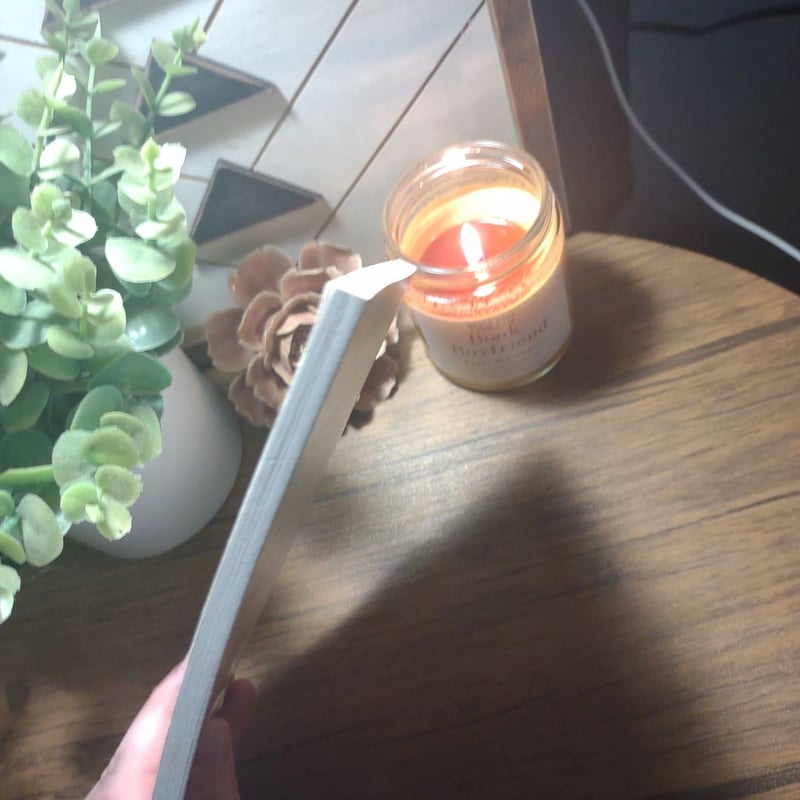 Who Was Charles Darwin? by Deborah Hopkinson, Paperback | Pangobooks