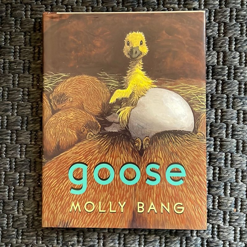 Goose by Molly Bang
