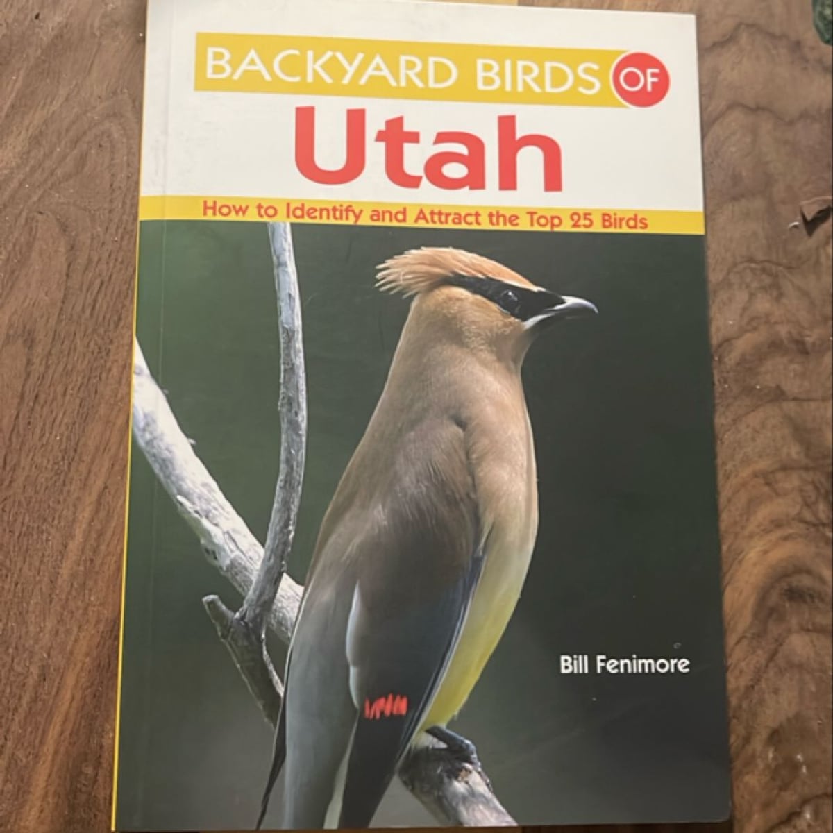 Backyard Birds of Utah by Bill Fenimore, Estrella Fenimore
