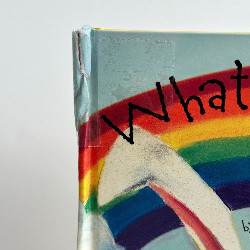 What Makes a Rainbow? by Betty Ann Schwartz, Hardcover | Pangobooks