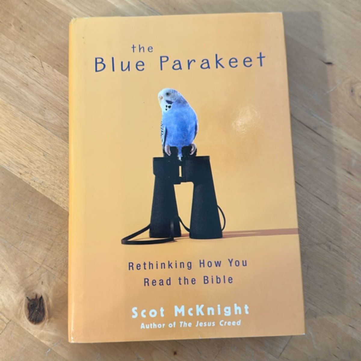 The Blue Parakeet by Ron Martoia, Scot McKnight