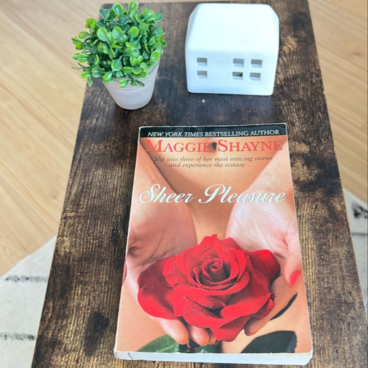 Sheer Pleasure by Maggie Shayne