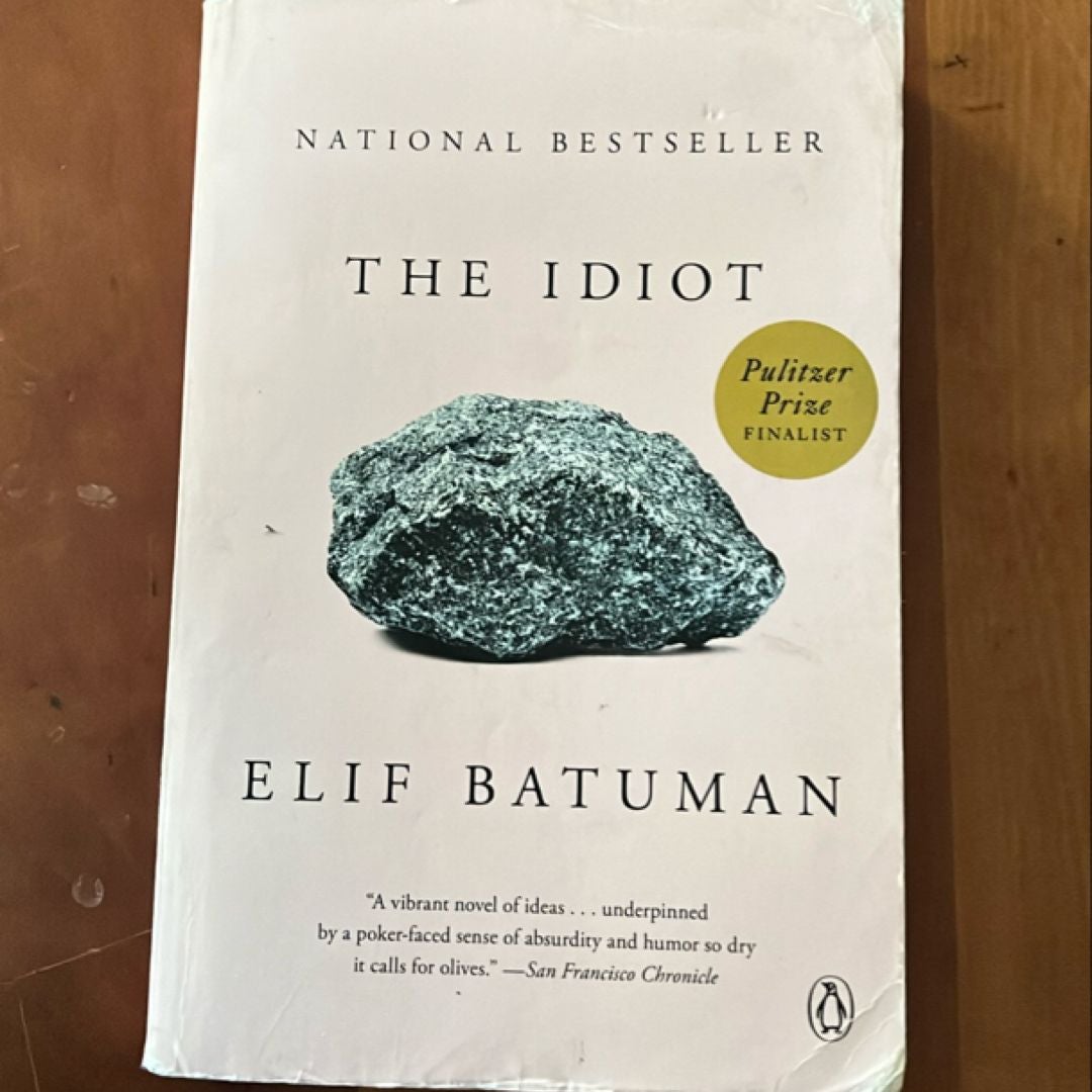 The Idiot by Elif Batuman