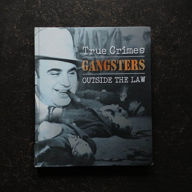 Gangsters Outside the Law by Michael Newton, Hardcover | Pangobooks