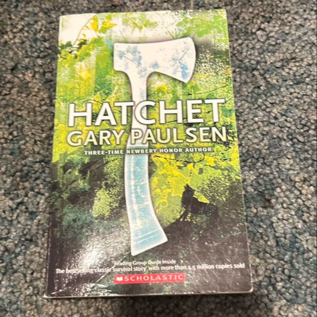 Hatchet by Gary Paulsen, Paperback | Pangobooks