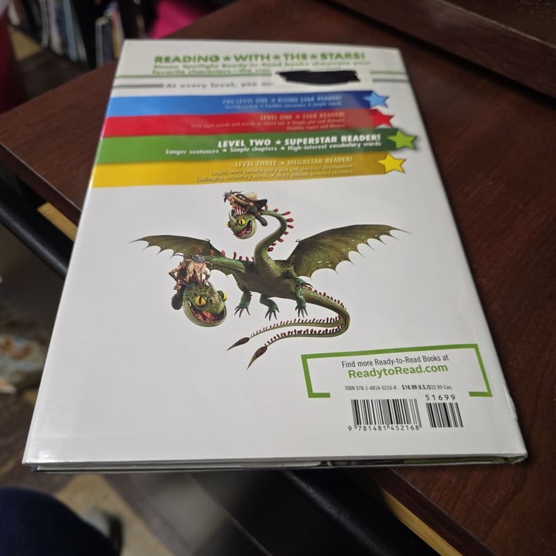 How to Build a Dragon Fort by Erica David