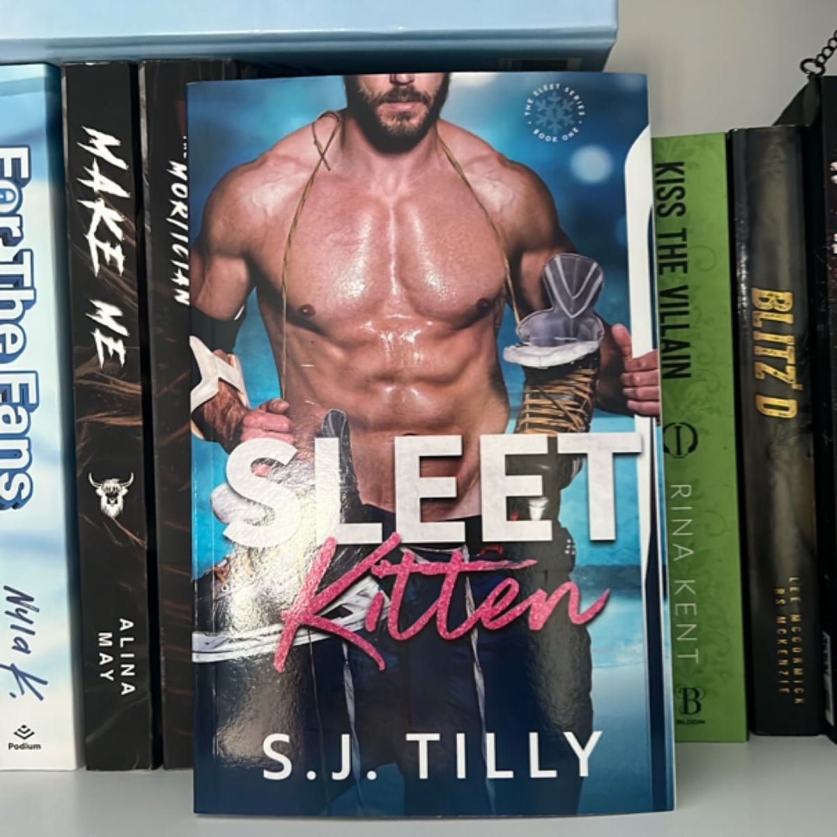 Sleet Kitten by S. J. Tilly