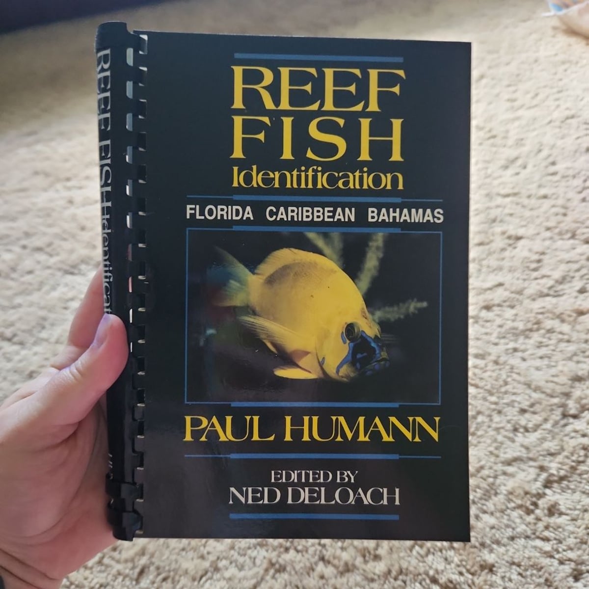 Reef Fish Identification Florida Caribbean Bahamas by Paul Humann