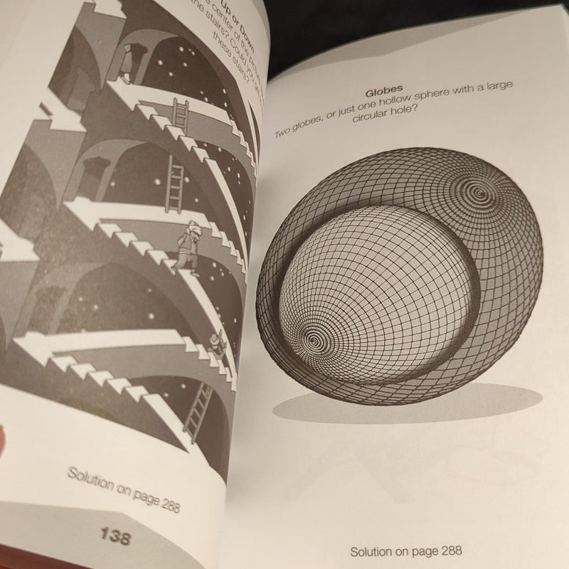 Optical Puzzles by Gianni Sarcone