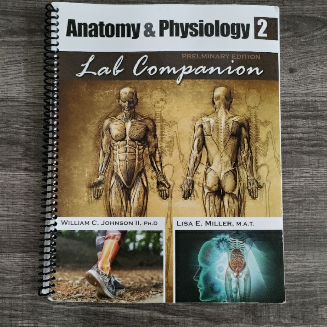 Anatomy and Physiology 2 Lab Companion, Preliminary Edition by William ...