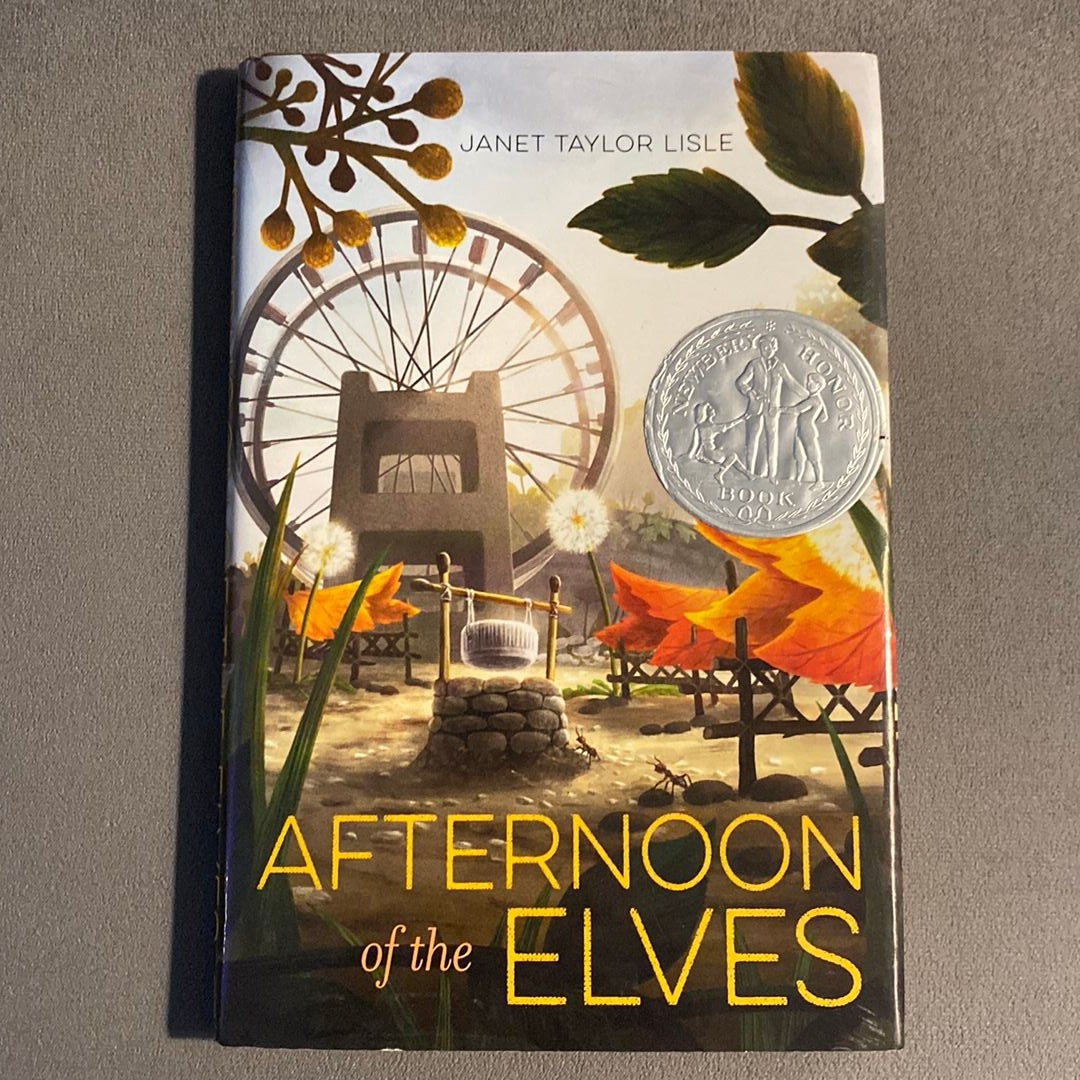 Afternoon of the Elves by Janet Taylor Lisle