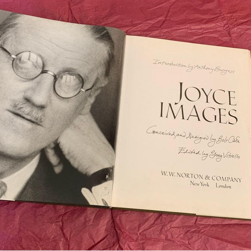 Joyce Images by Greg Vitiello, Hardcover | Pangobooks