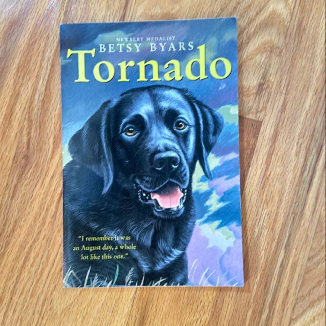 Tornado by Betsy Byars