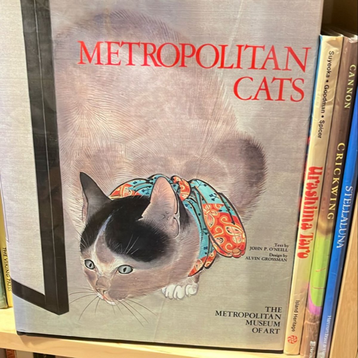 Metropolitan Cats by John P. O'Neill