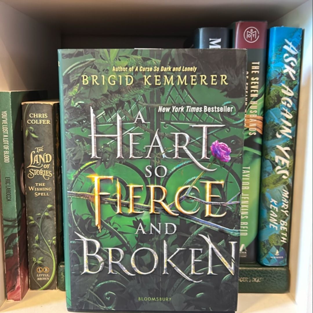 A Heart So Fierce and Broken by Brigid Kemmerer, Hardcover | Pangobooks