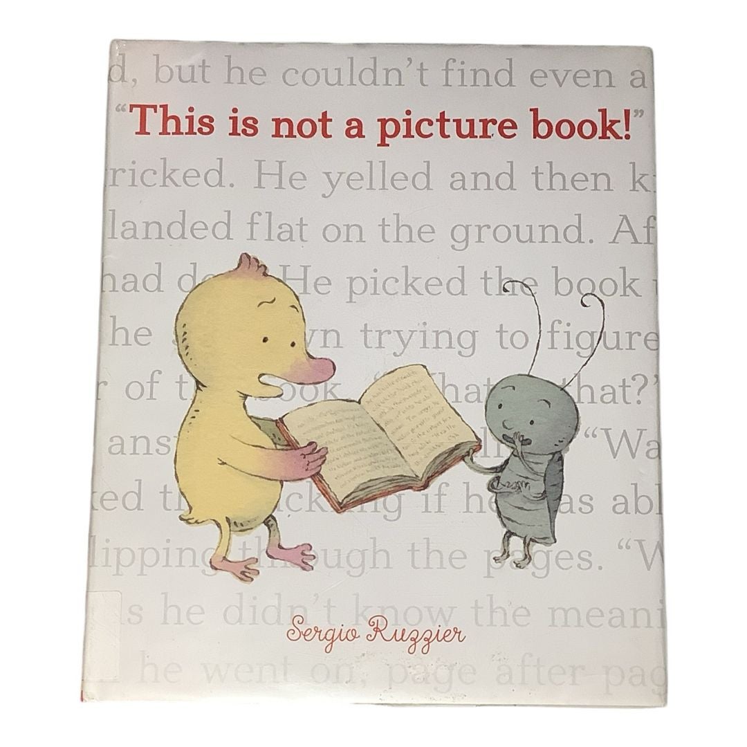 This Is Not a Picture Book! by Sergio Ruzzier