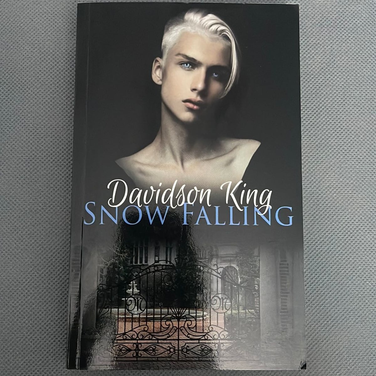 Snow Falling by Davidson King