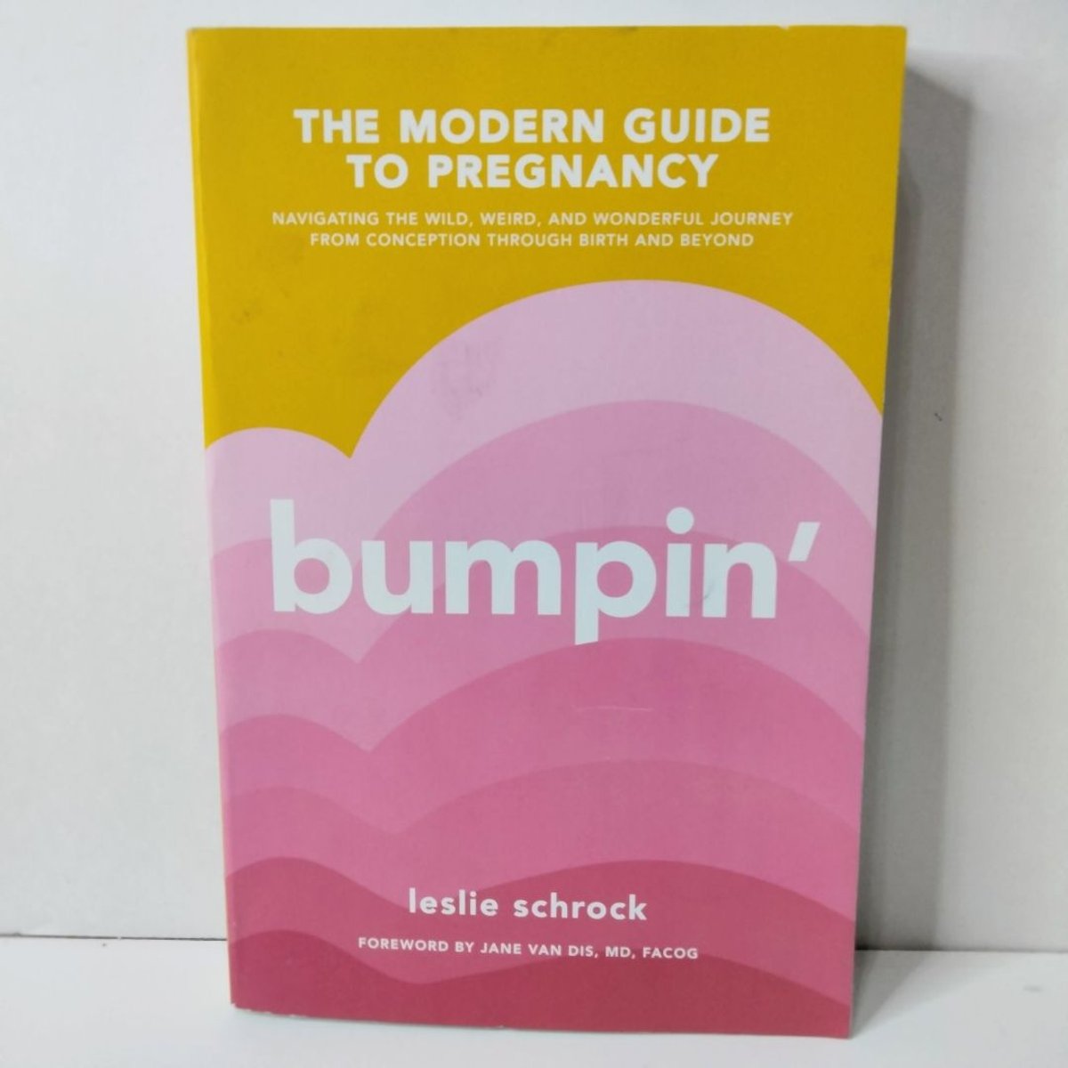 Bumpin' by Jane van Dis, Leslie Schrock, Paperback | Pangobooks