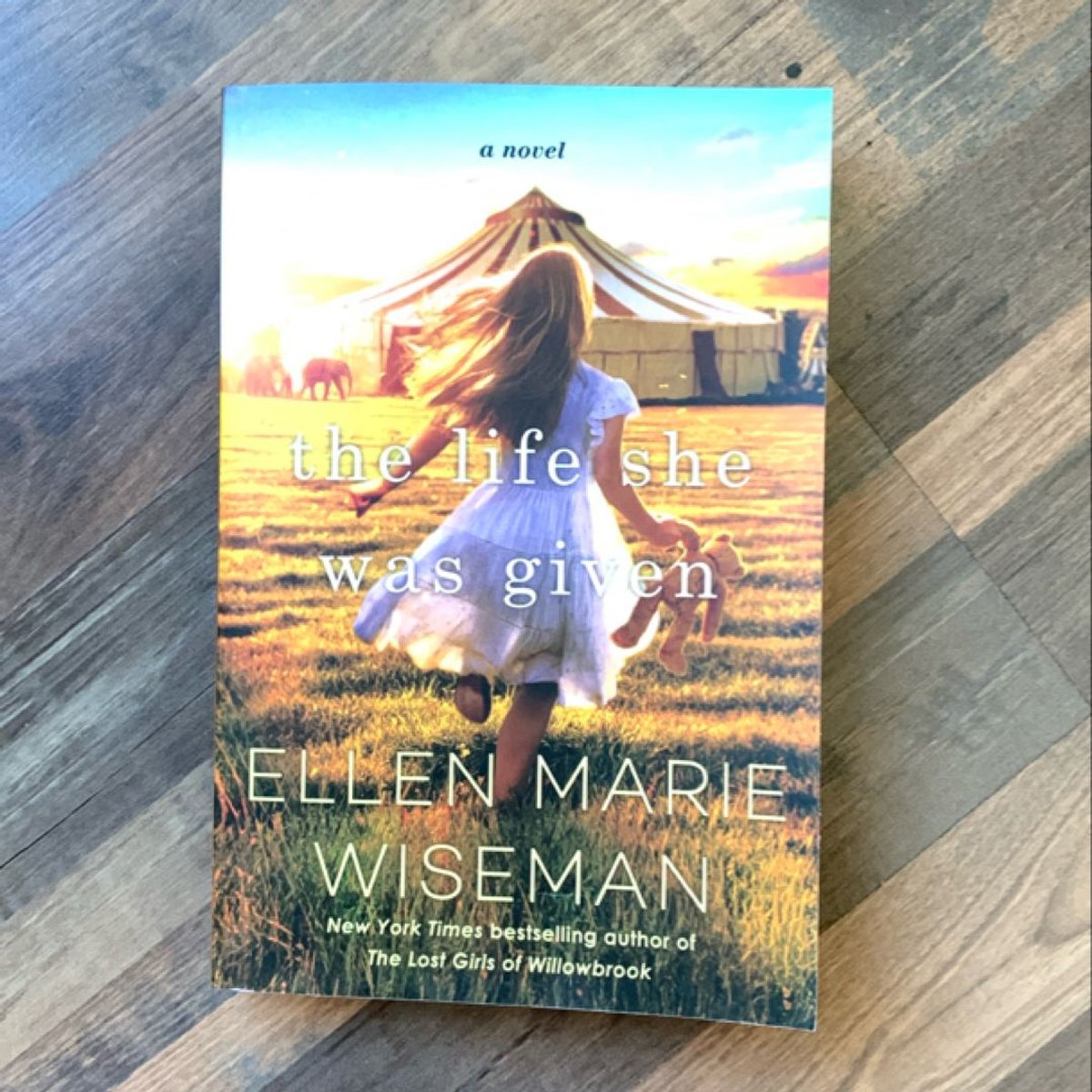 The Life She Was Given by Ellen Marie Wiseman