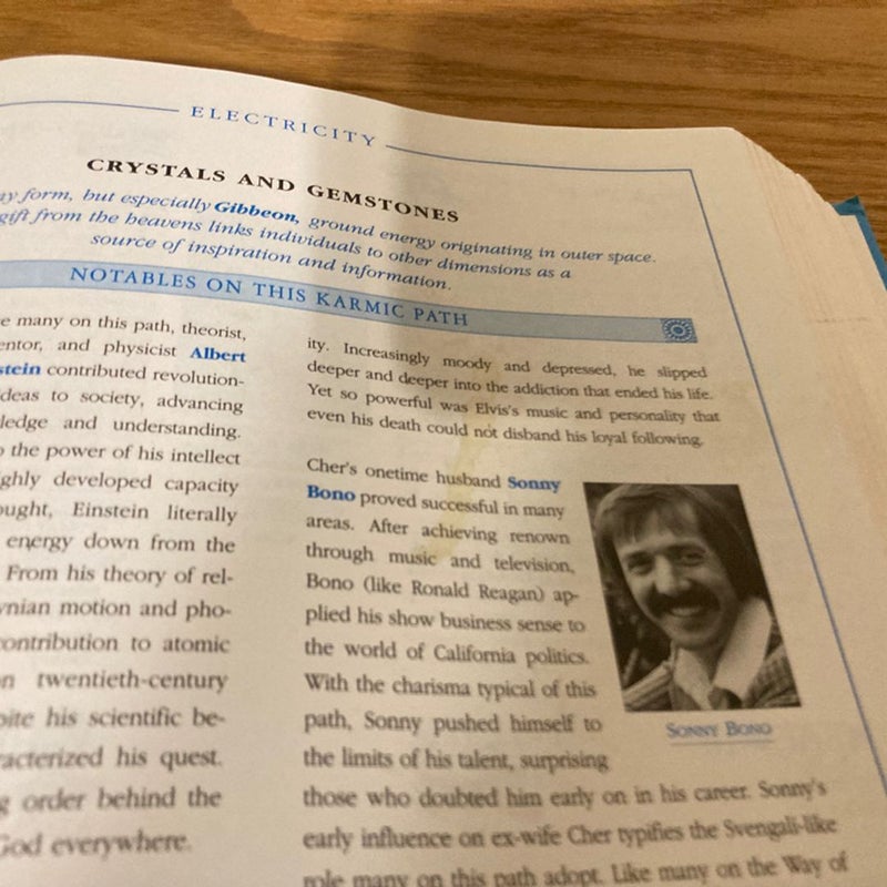 The Secret Language of Destiny by Gary Goldschneider, Hardcover ...