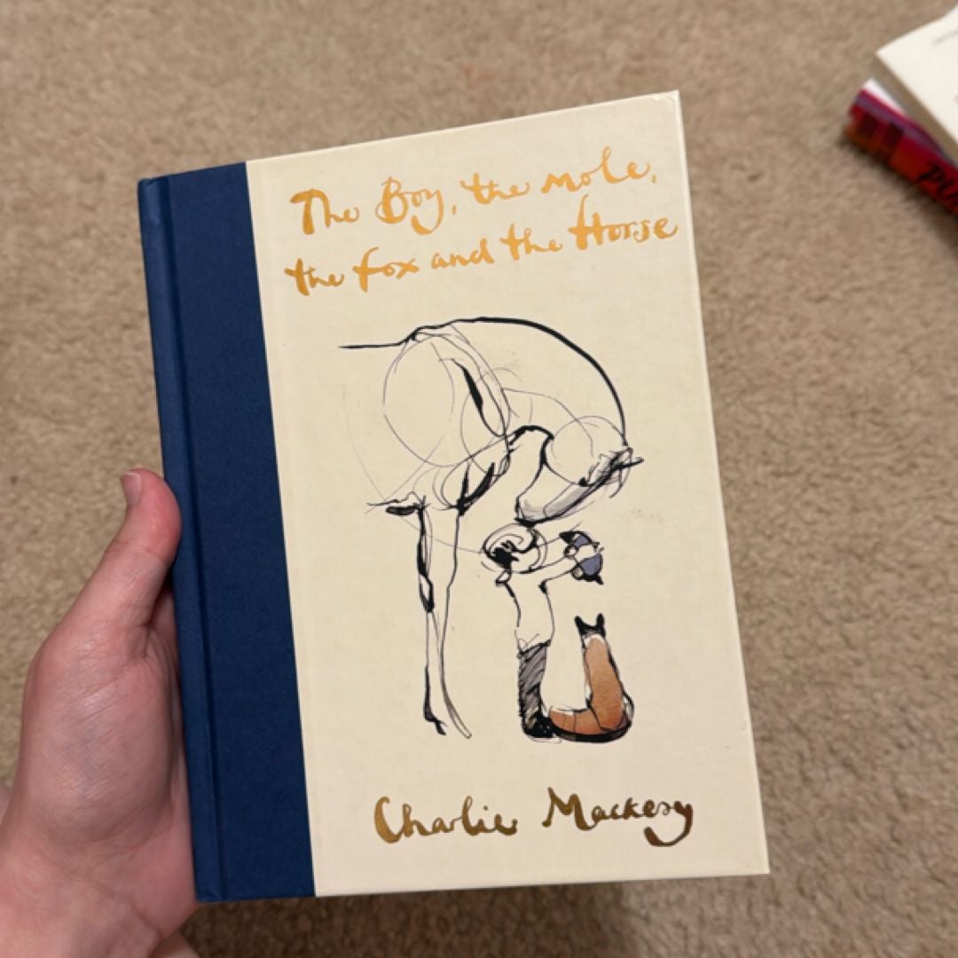 The Boy, the Mole, the Fox and the Horse by Charlie Mackesy