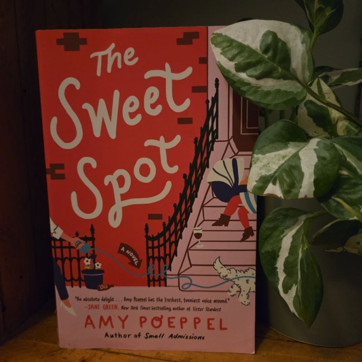 The Sweet Spot by Amy Poeppel, Paperback | Pangobooks
