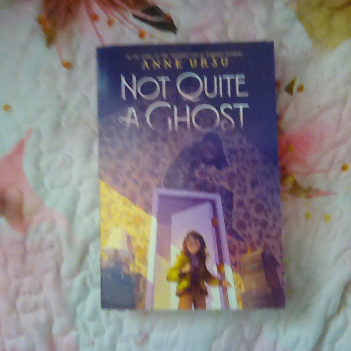 Not Quite a Ghost by Anne Ursu