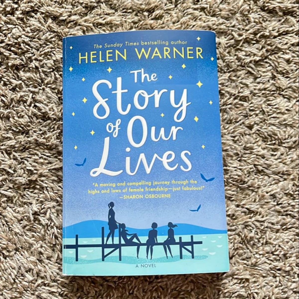 The Story of Our Lives by Helen Warner