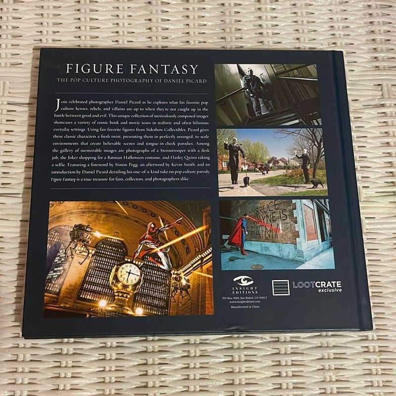 Figure Fantasy by Daniel Picard, Hardcover | Pangobooks