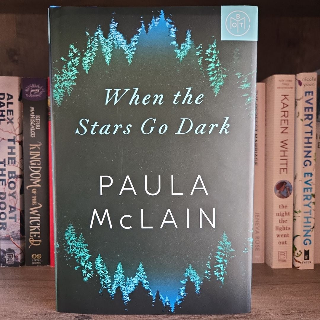 When the Stars Go Dark by Paula McLain, Hardcover | Pangobooks