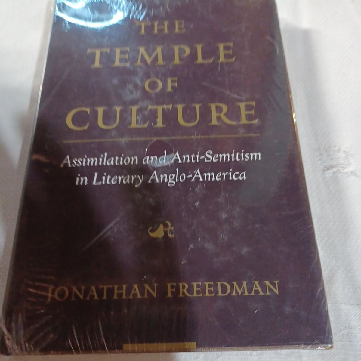 The Temple of Culture by Jonathan Freedman