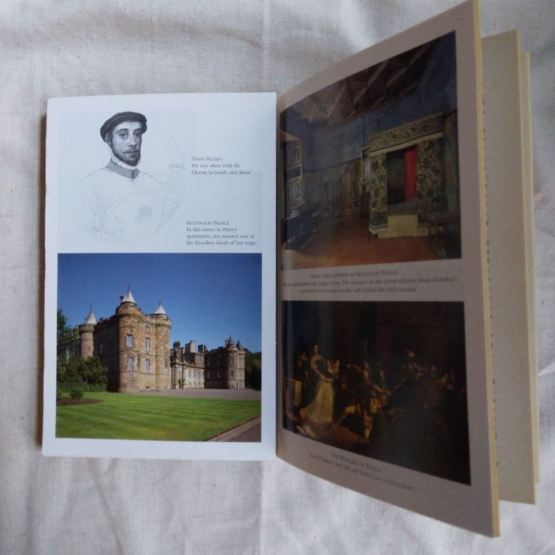 Mary, Queen of Scots, and the Murder of Lord Darnley by Alison Weir