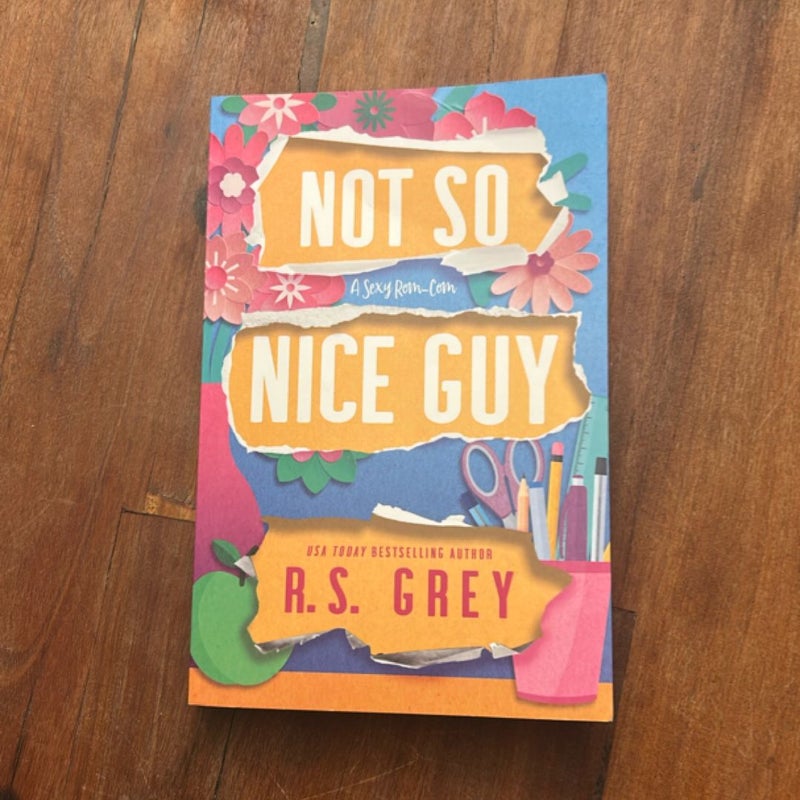 Not So Nice Guy by R. S. Grey