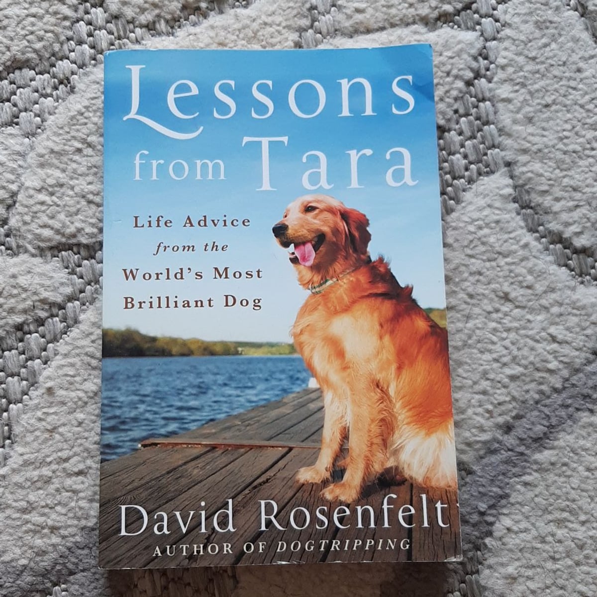 Lessons from Tara by David Rosenfelt