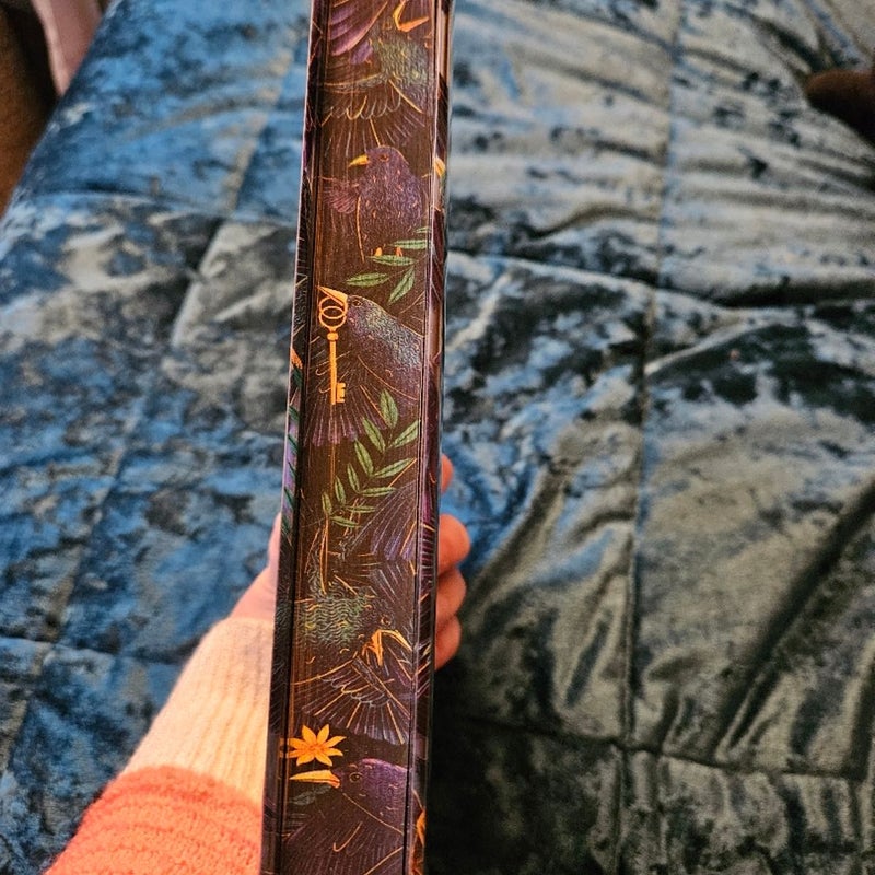 Starling House by Alex E. Harrow, Hardcover | Pangobooks