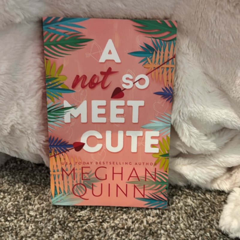 A Not So Meet Cute by Meghan Quinn, Paperback | Pangobooks