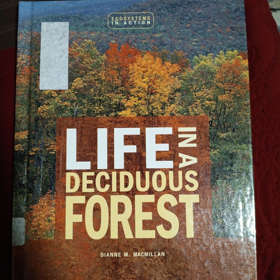 Life in a Deciduous Forest by Dianne M. MacMillan
