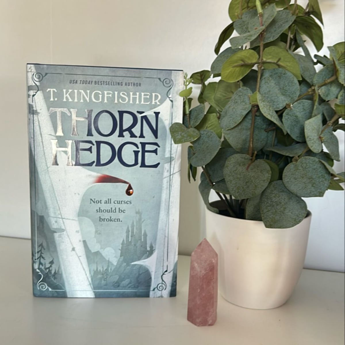 Thornhedge by T. Kingfisher, Hardcover | Pangobooks