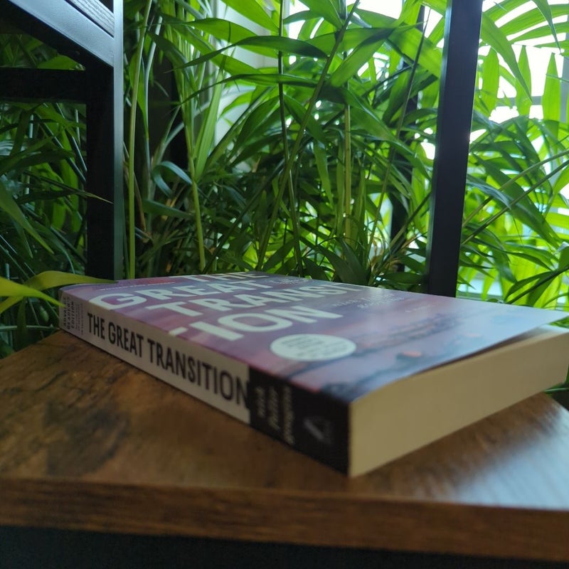 The Great Transition by Nick Fuller Googins, Paperback | Pangobooks