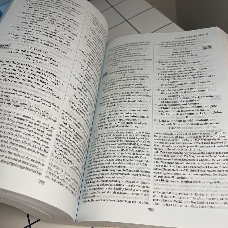 The Catholic Study Bible