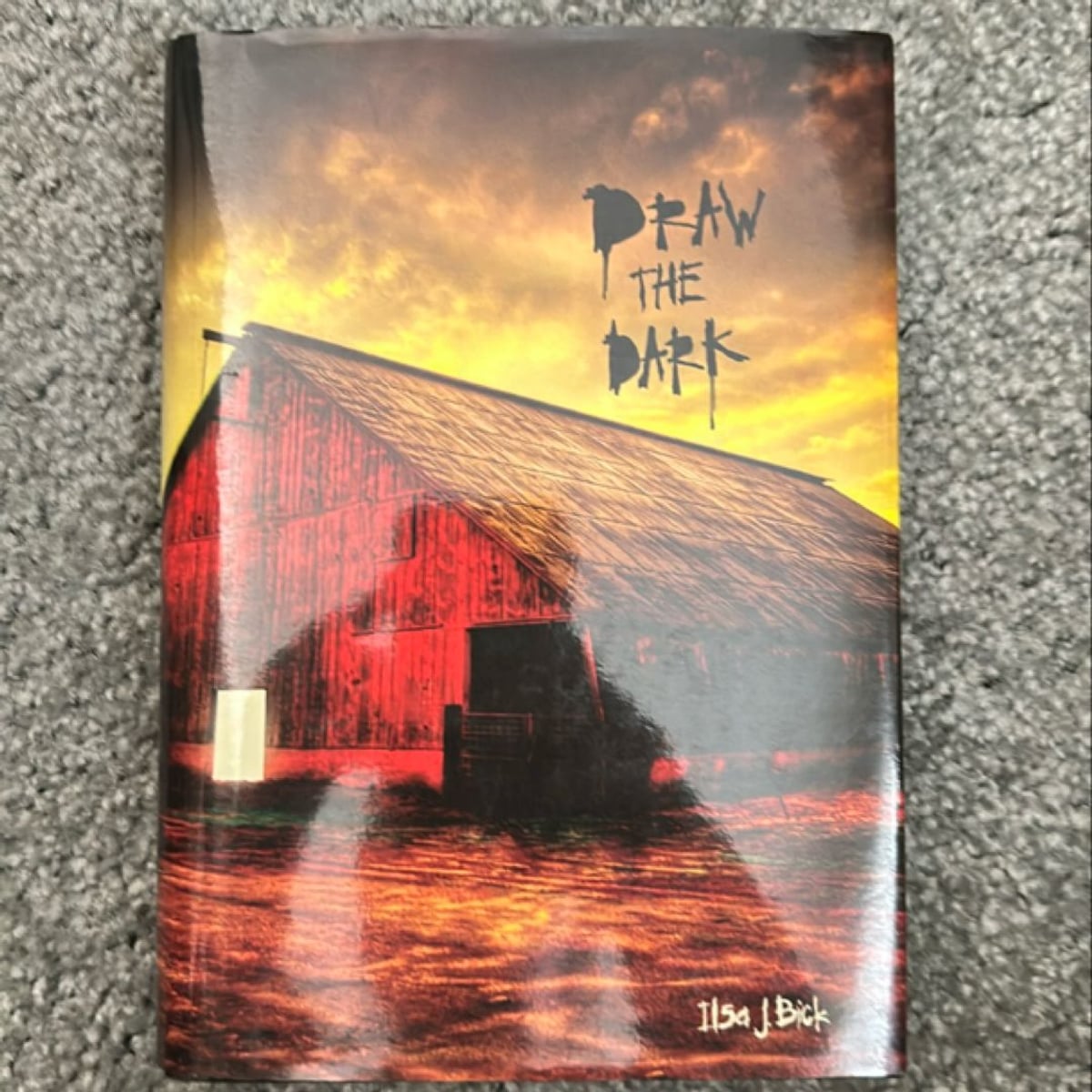 Draw the Dark by Ilsa J. Bick