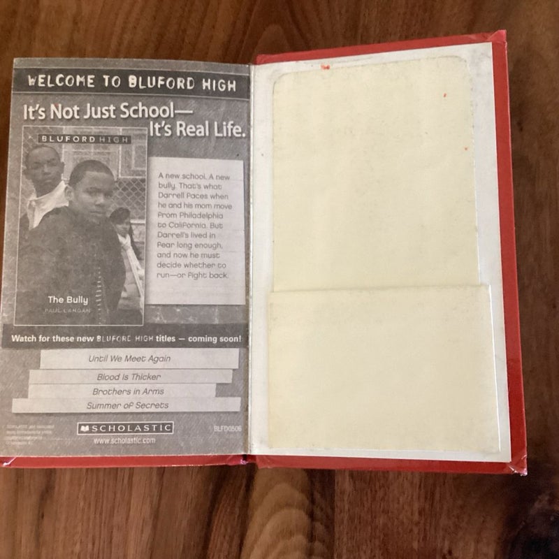 Secrets in the Shadows by Anne Schraff