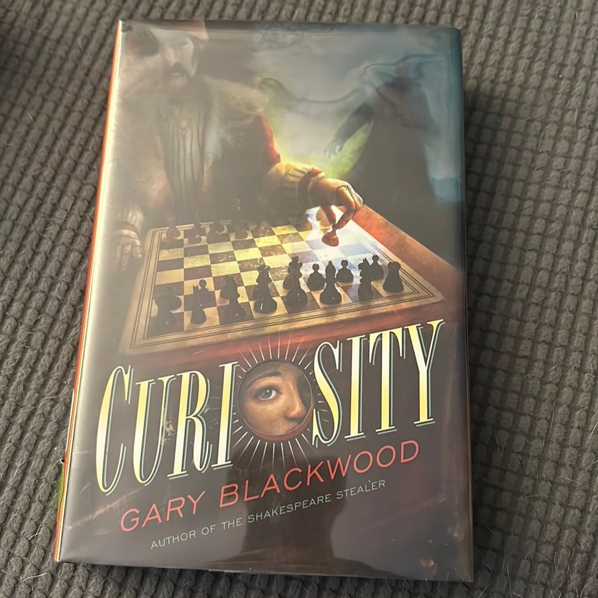 Curiosity by Gary Blackwood