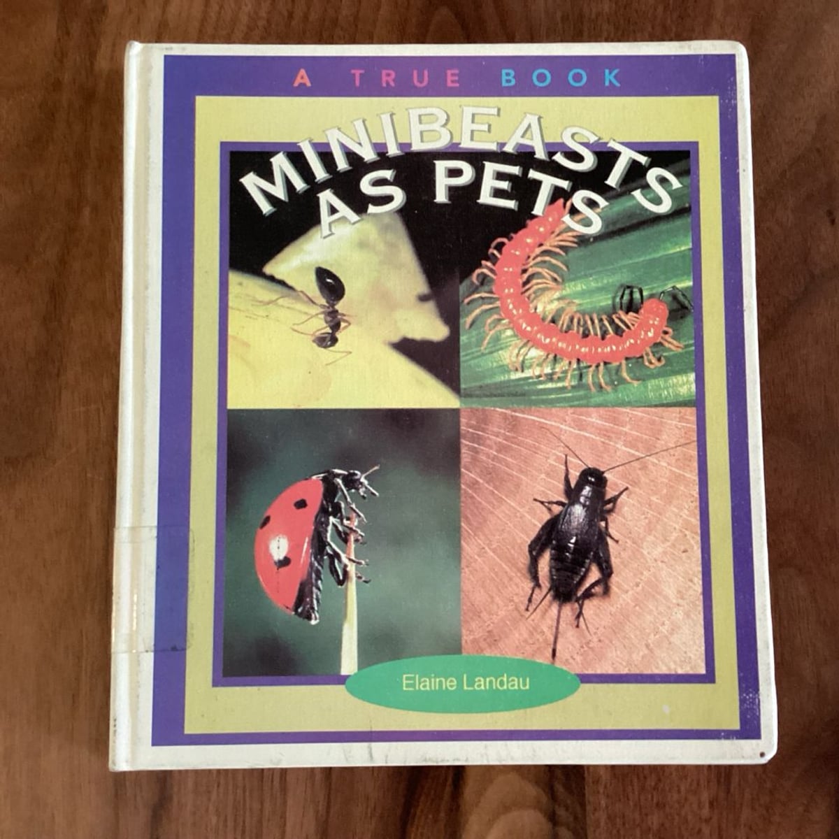 Minibeasts as Pets by Elaine Landau
