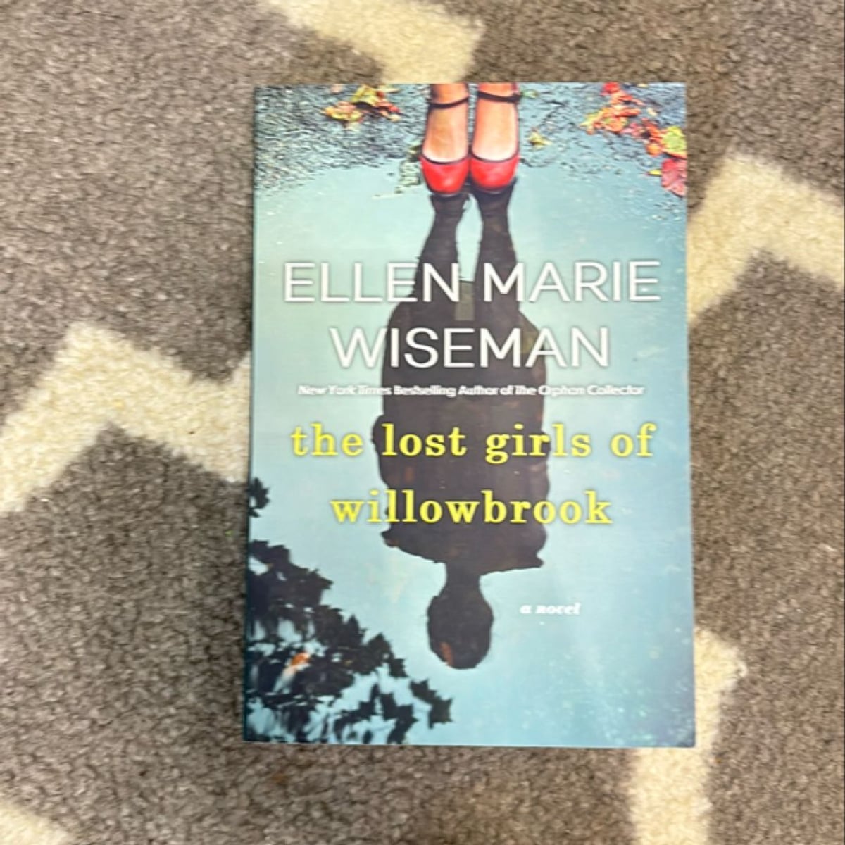 The Lost Girls of Willowbrook by Ellen Marie Wiseman