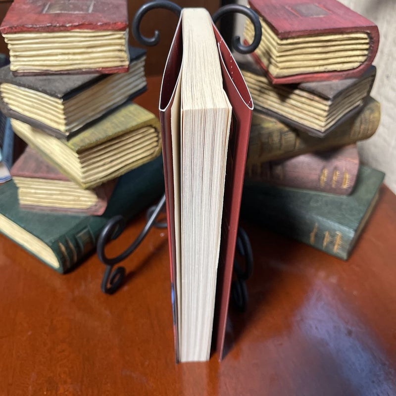 The Lopsided Christmas Cake by Wanda E. Brunstetter, Paperback | Pango ...