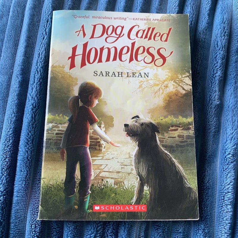 A Dog Called Homeless by Sarah Lean, Paperback | Pangobooks
