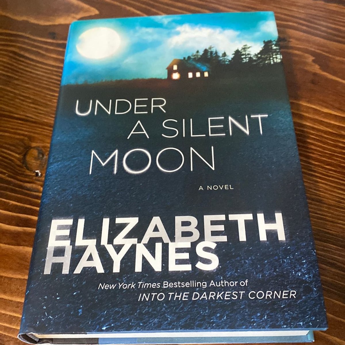 Under a Silent Moon by Elizabeth Haynes
