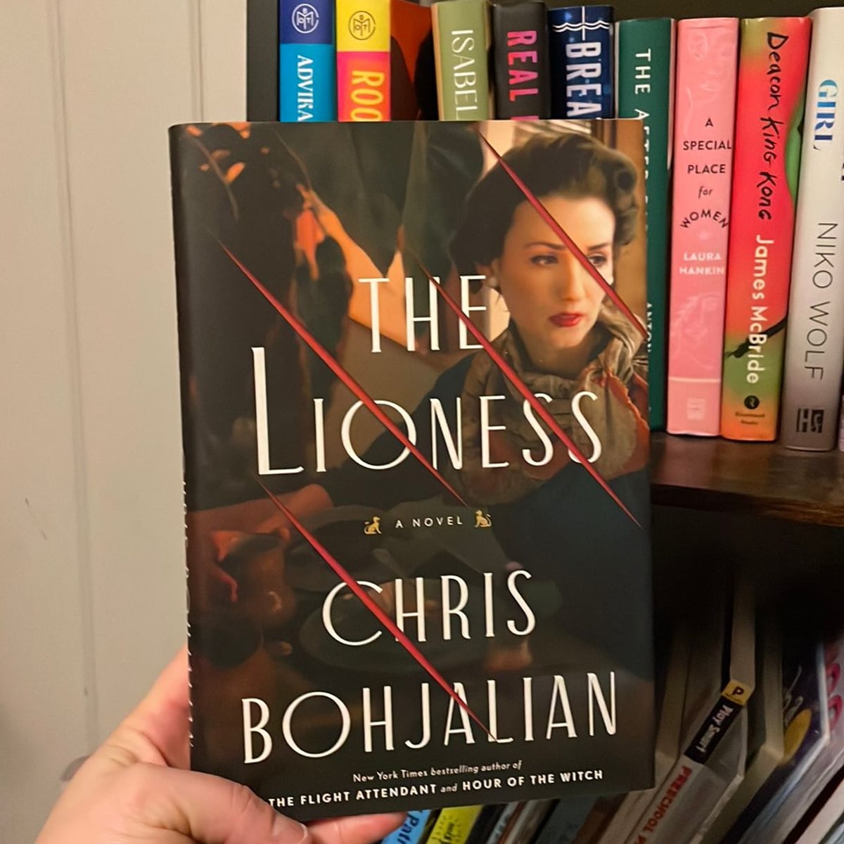 The Lioness by Chris Bohjalian