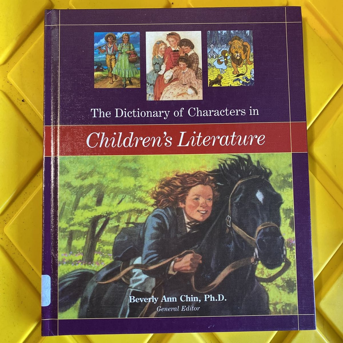 The Dictionary of Characters in Children's Literature by Beverly Ann Chin